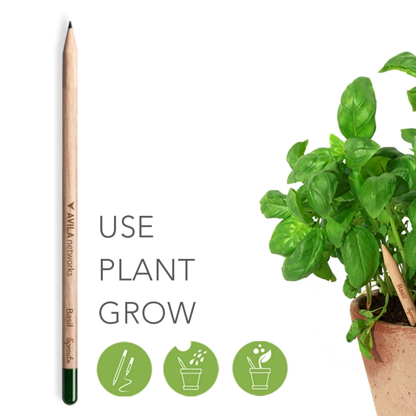 Sprout Customized Plantable Pencil